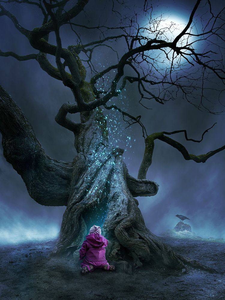 hidden worlds Foto & Bild | fotomontage, fantasy mystery, composing Bilder auf fotocommunity