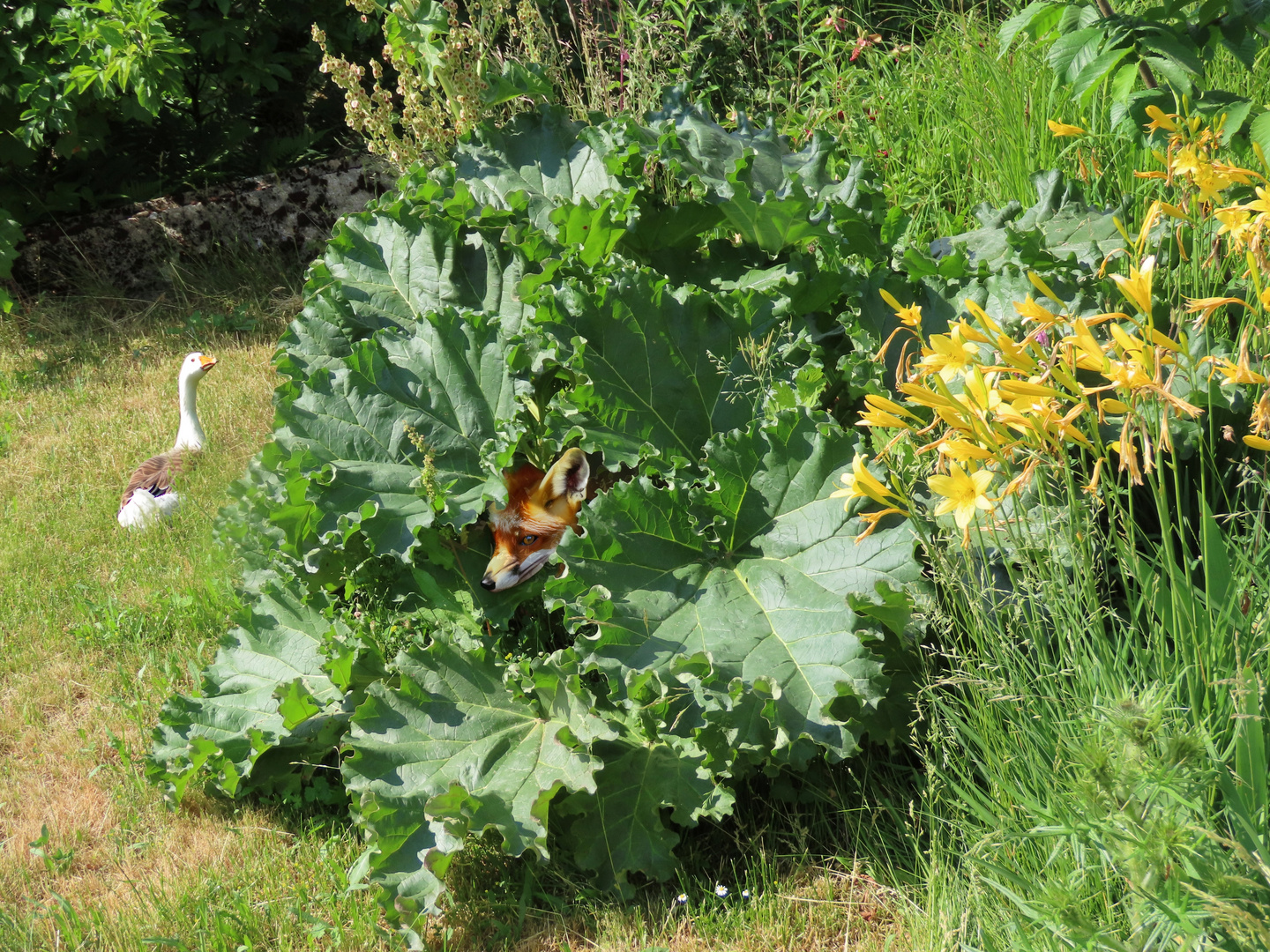 "Hier habe ich den Durchblick, (Durchblicktag) Foto & Bild | spezial, sommer, outdoor Bilder auf ...