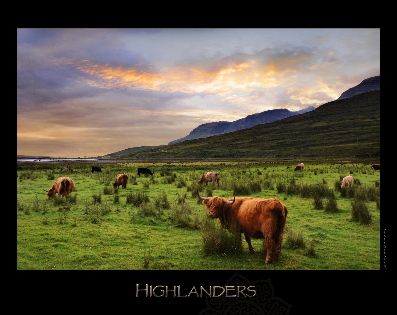 Highlanders Foto & Bild | europe, united kingdom & ireland, scotland ...