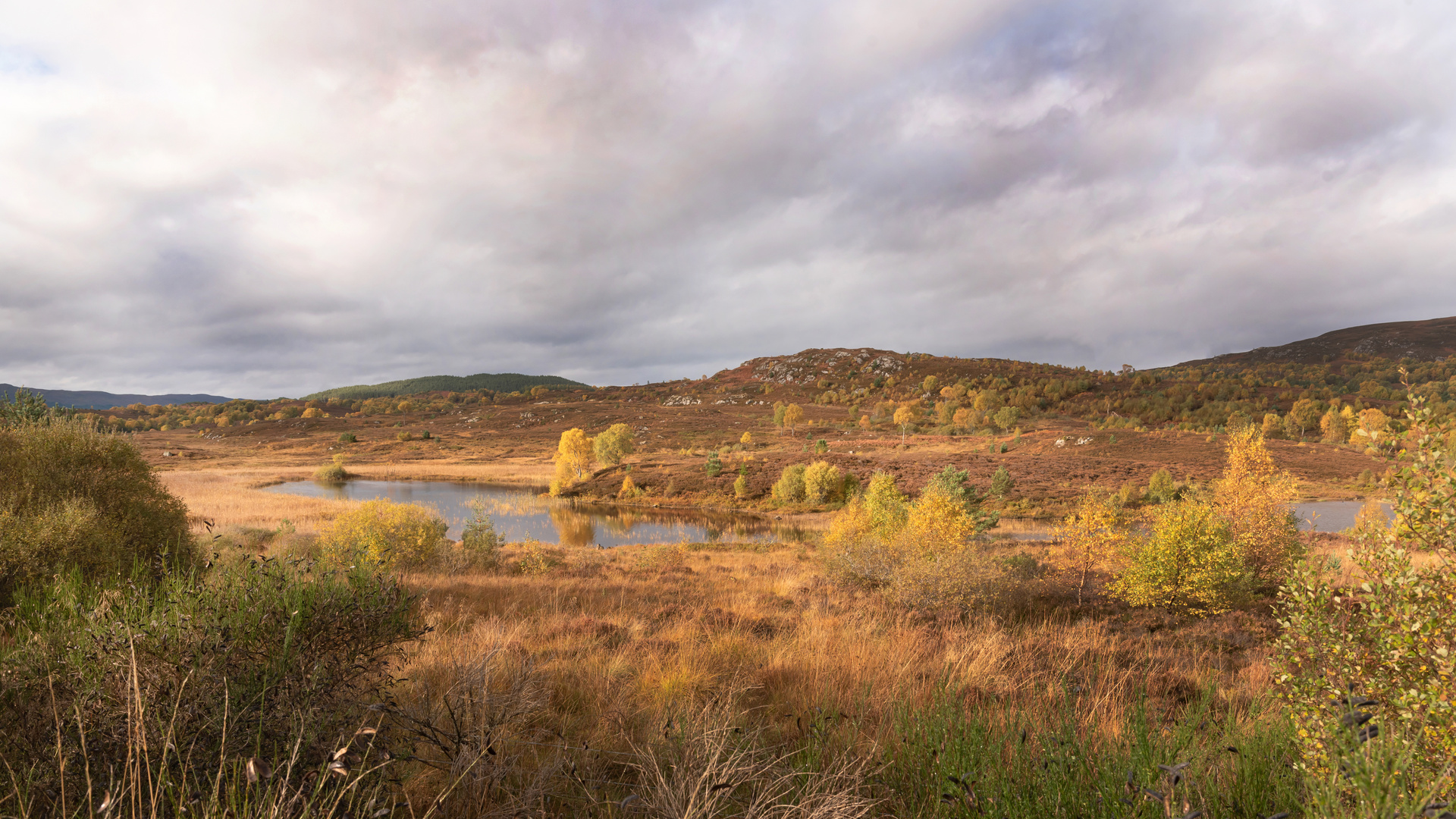 Highlands.... Foto & Bild | europe, united kingdom & ireland, scotland ...