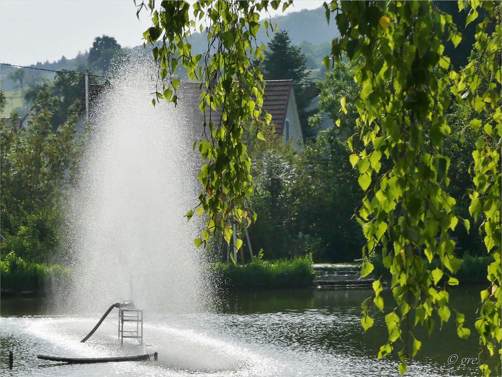 Hilfe für den Bissinger See Foto & Bild | wasser, see, august Bilder ...