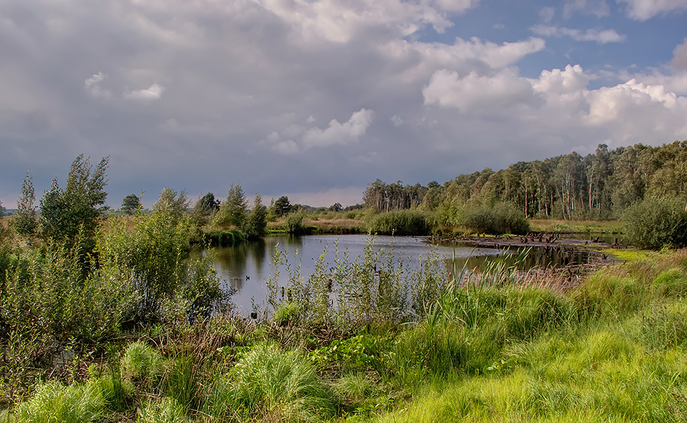Hiller Moor Foto & Bild | landschaft, moor, hdr + pseudohdr Bilder auf ...
