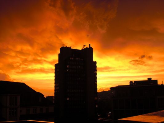 Juhuh - Fotos & Bilder - Fotografin aus Zürich | fotocommunity