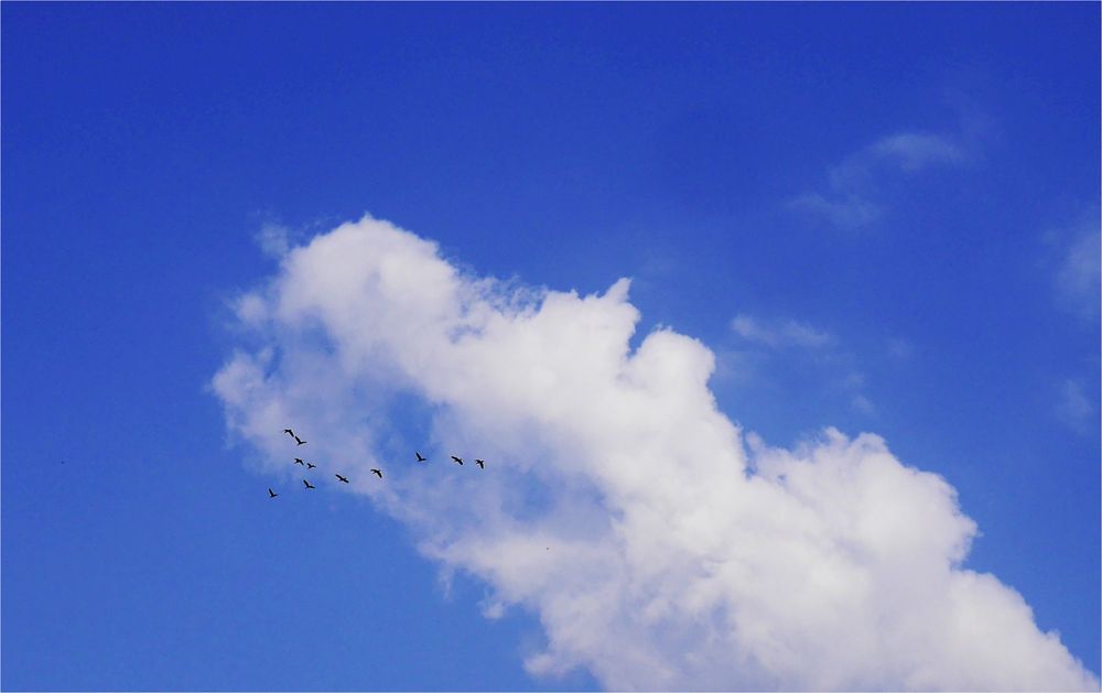 himmelblau Foto & Bild | spezial, himmel, natur Bilder auf fotocommunity