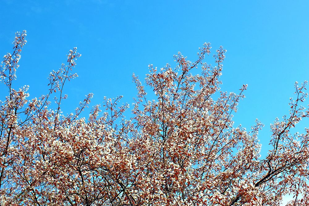 Himmelblau Foto & Bild | projekte, 1 - montag - blue monday, thementage ...