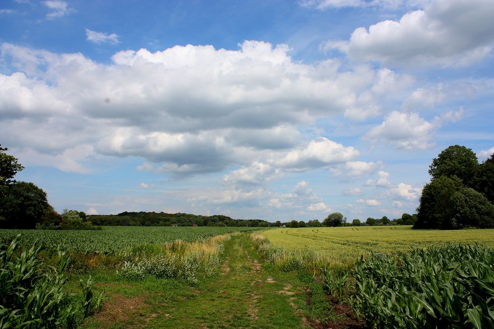 Himmelblau Foto & Bild | landschaft, kulturlandschaften, natur Bilder ...