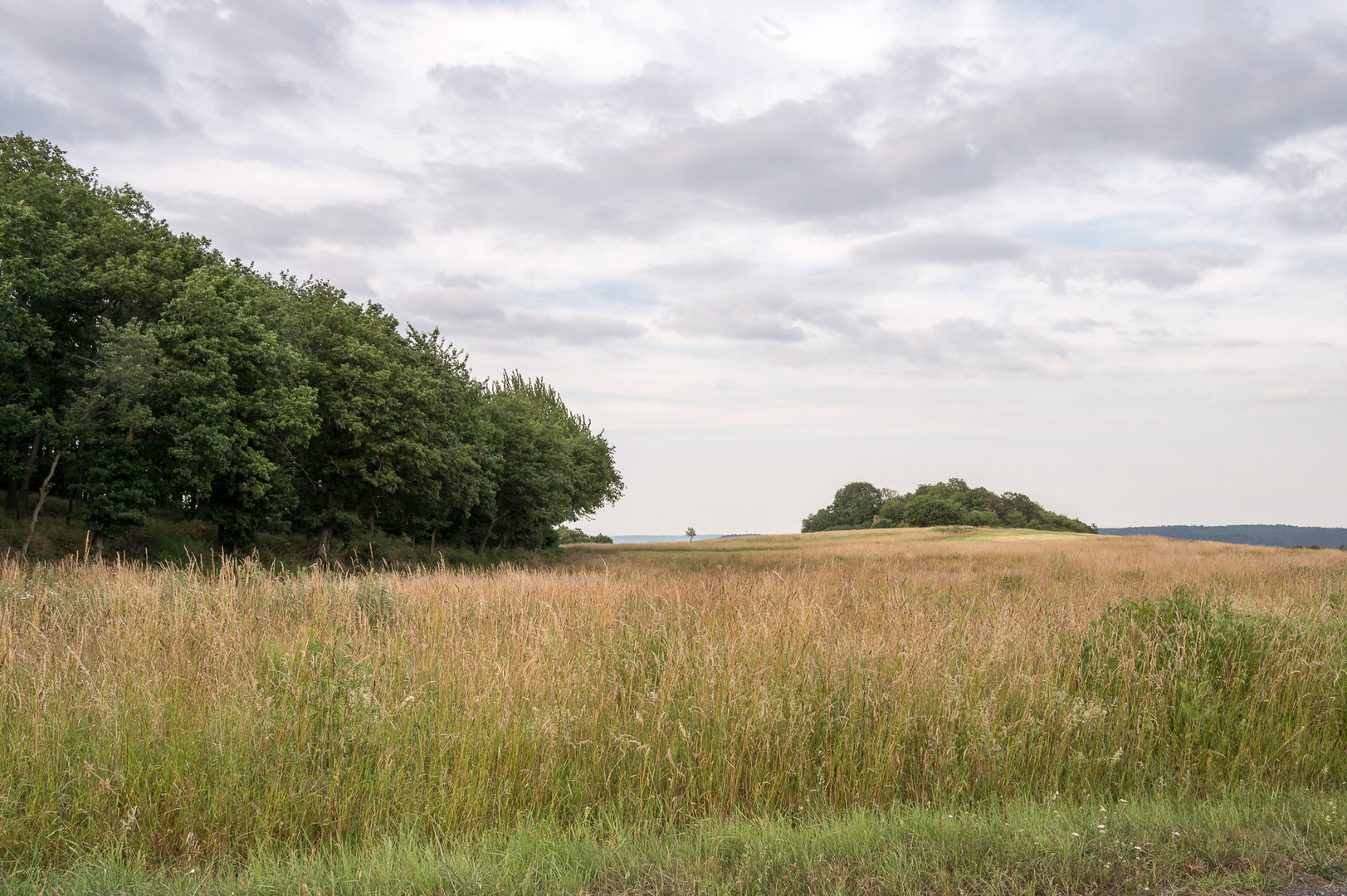 hinauf zum Hügel Foto & Bild | landschaften, outdoor, himmel Bilder auf ...