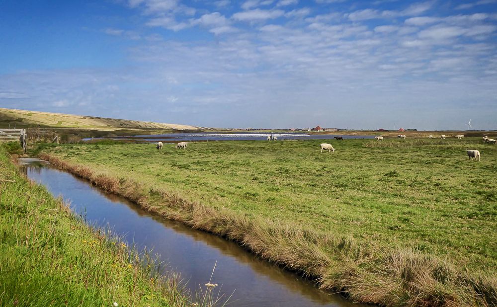 Hinter dem Deich Foto & Bild | landschaft, landschaften, natur Bilder ...