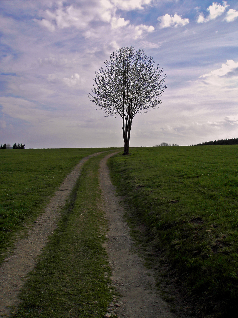 Hinter dem Horizont geht es weiter..... Foto & Bild | landschaft, wege ...