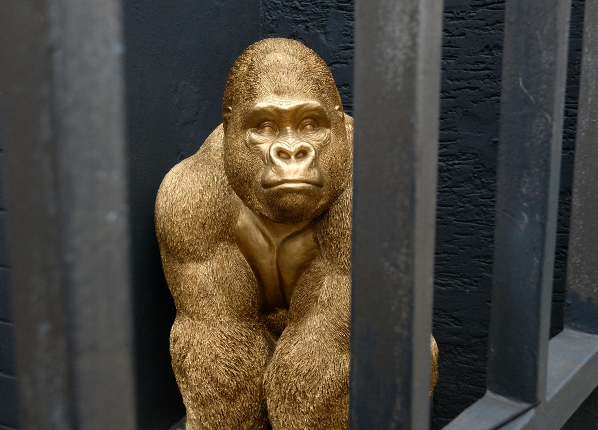 Hinter Gittern Foto & Bild | tiere, wildlife, wildlife: sonstige tiere Bilder auf fotocommunity