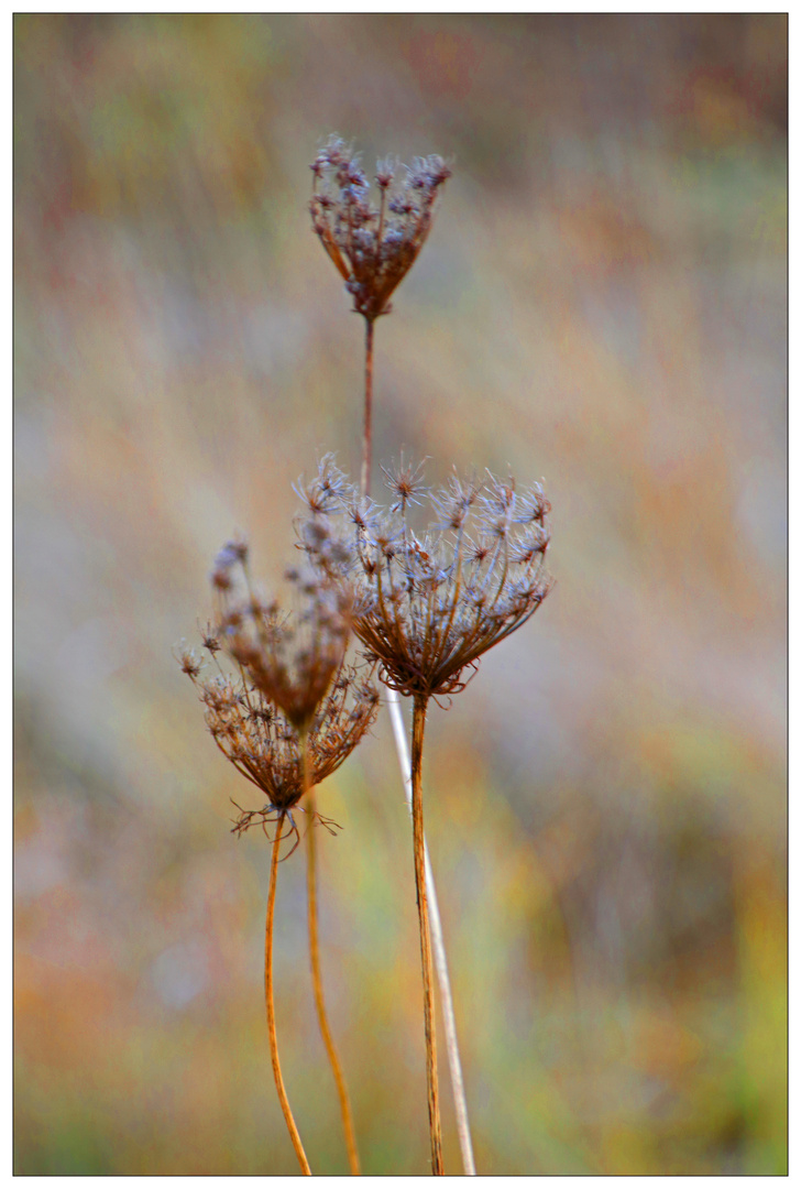 HinterEinAnder Foto & Bild | dokumentation, outdoor, natur Bilder auf ...