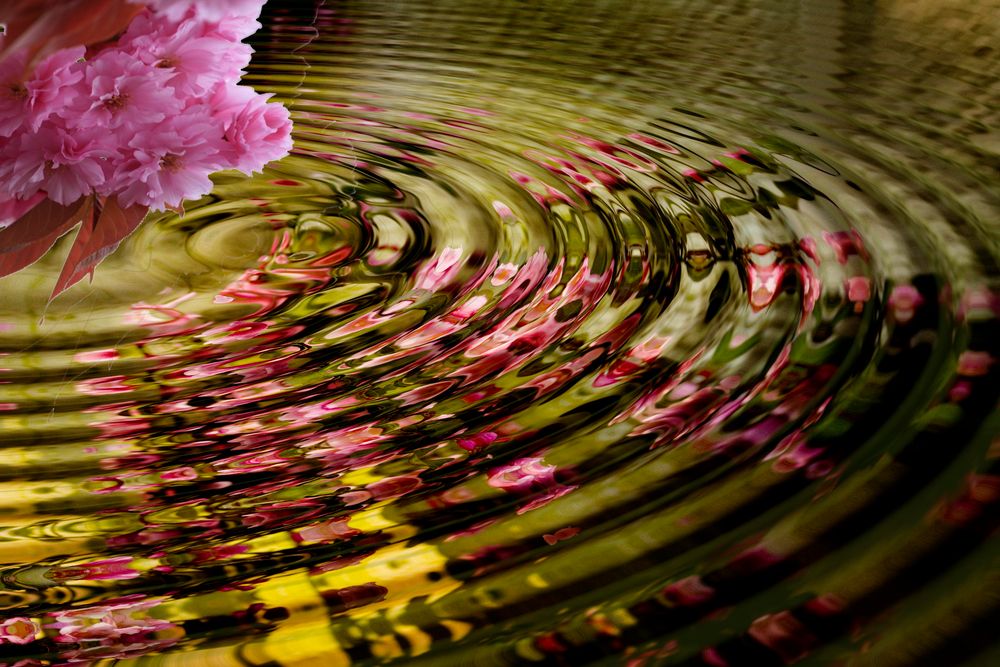 Hintergrund zur Beruhigung Foto & Bild | bearbeitungs - techniken ...