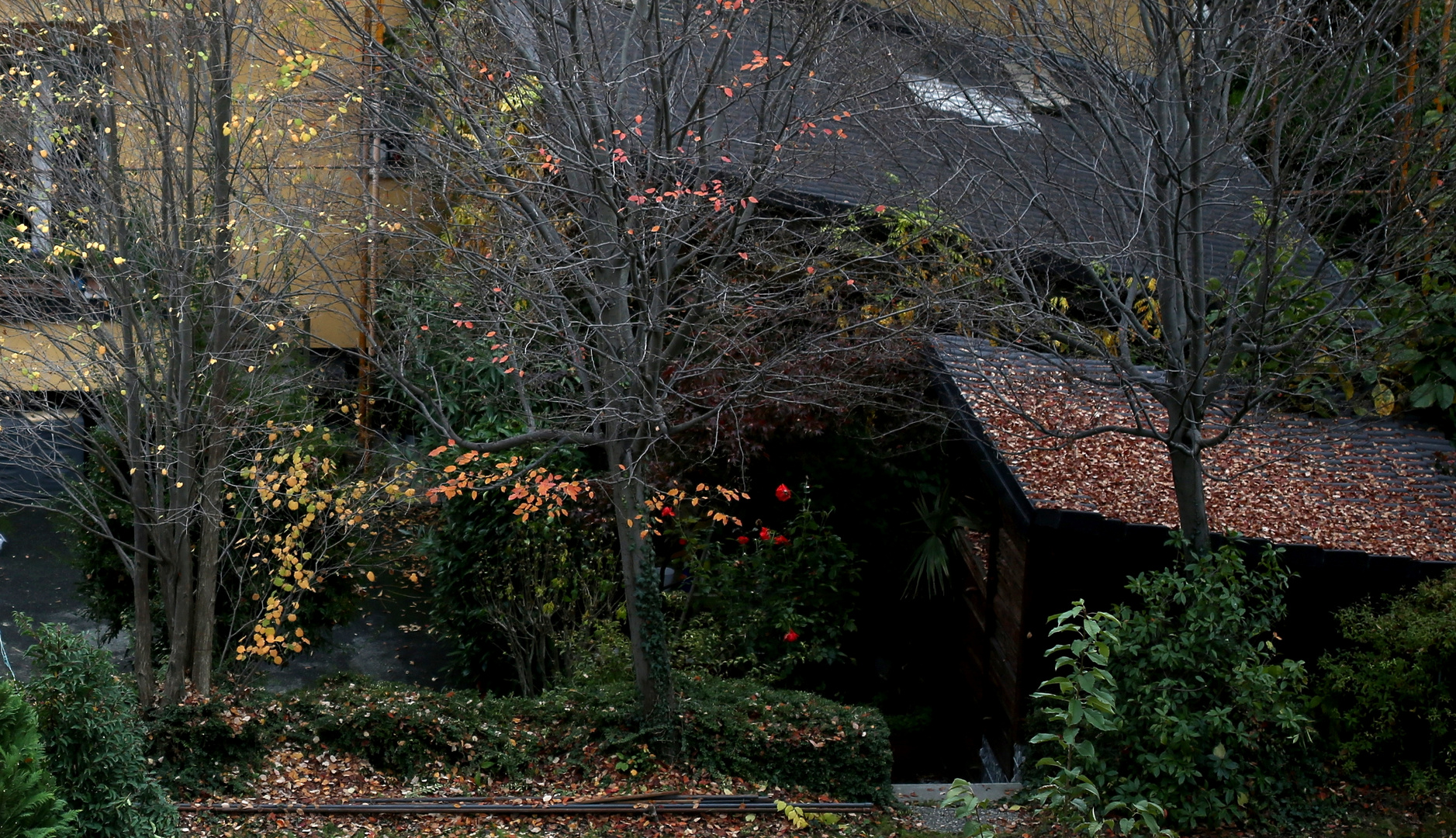 Hinterhof Foto & Bild | architektur, reportage dokumentation ...