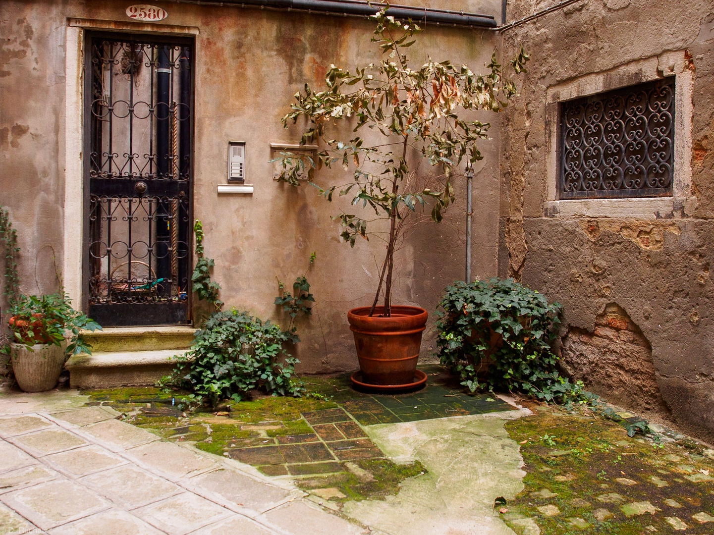 Hinterhof Idylle in Venedig Foto & Bild | urlaub, fotos, italy Bilder ...