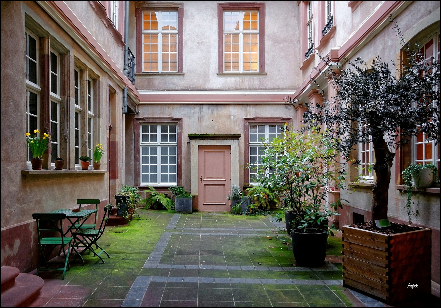 Hinterhof mit Narzissen Foto & Bild | fotos, france, world Bilder auf ...