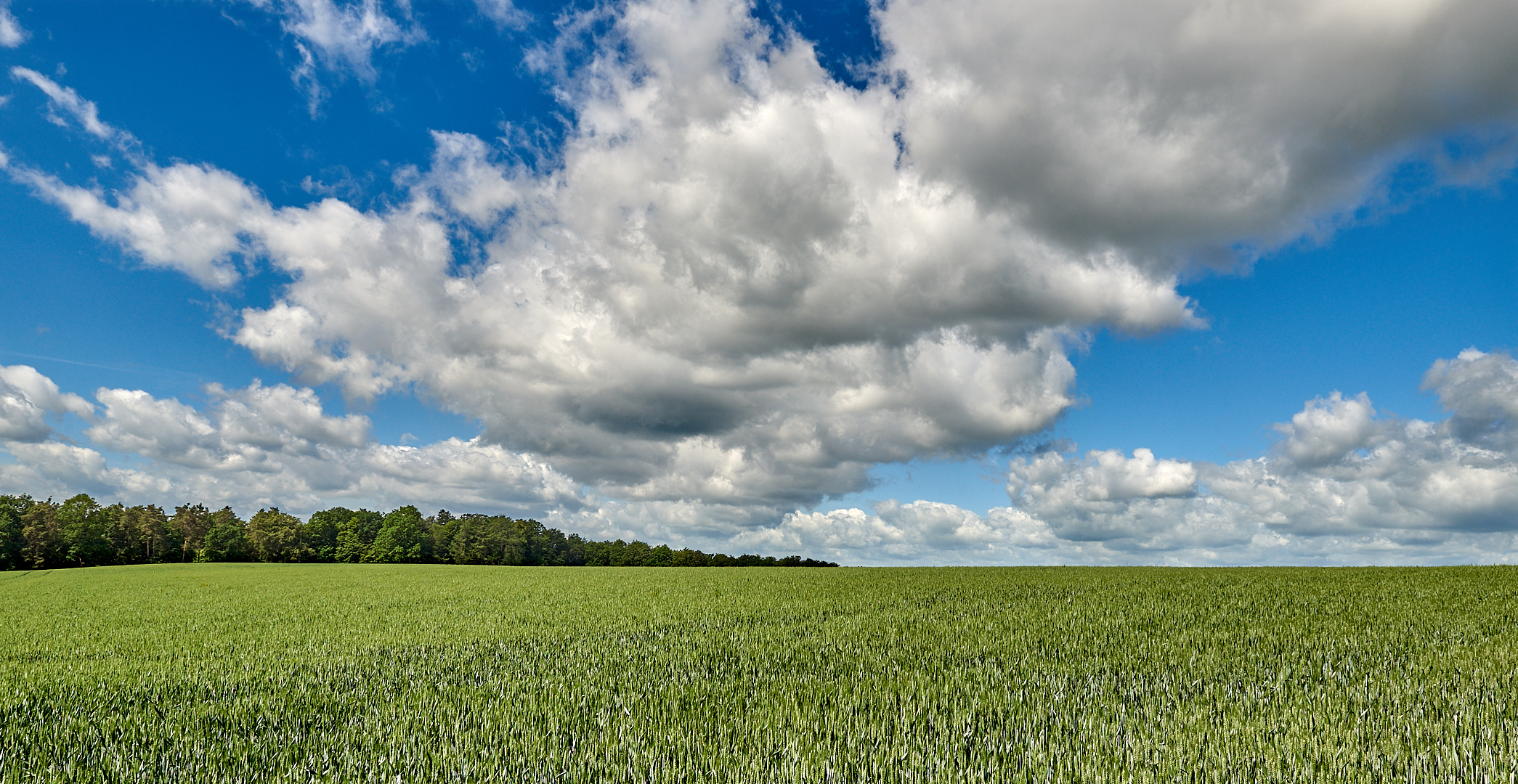 Hinterm Horizont gehts weiter... Foto & Bild | world, outdoor, bäume ...