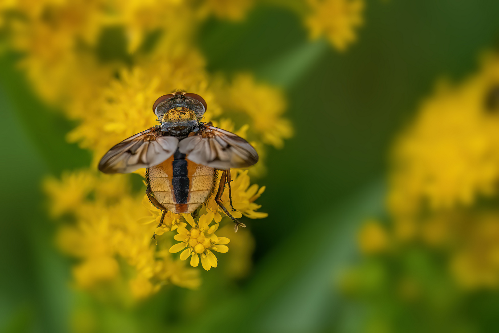 Hintern Foto & Bild | fotos, nikon, world Bilder auf fotocommunity