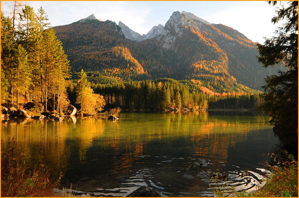 Hintersee bei Ramsau Foto & Bild | jahreszeiten, herbst, natur Bilder ...