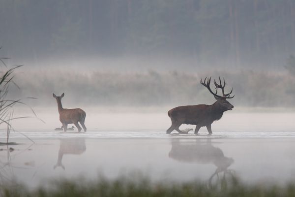 hamek - Fotos & Bilder - Fotograf aus Sachsen | fotocommunity