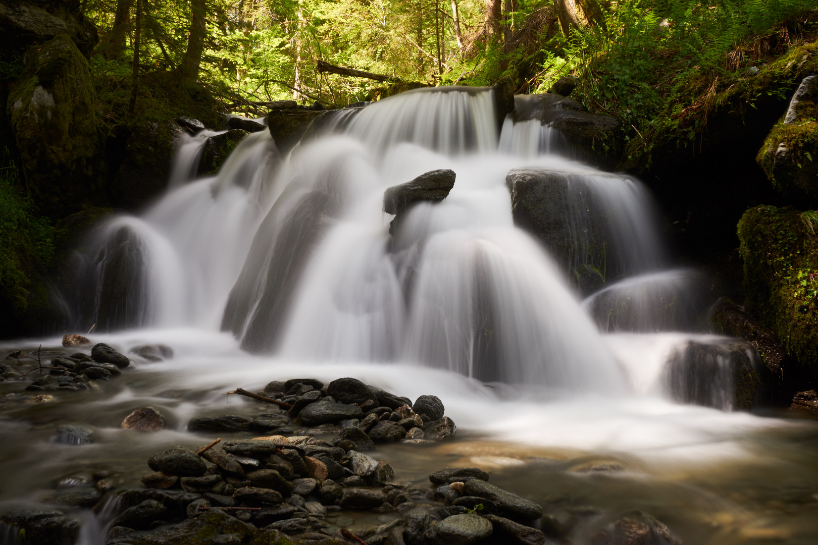 Hirschgraben Foto & Bild | wasser, grün, natur Bilder auf fotocommunity
