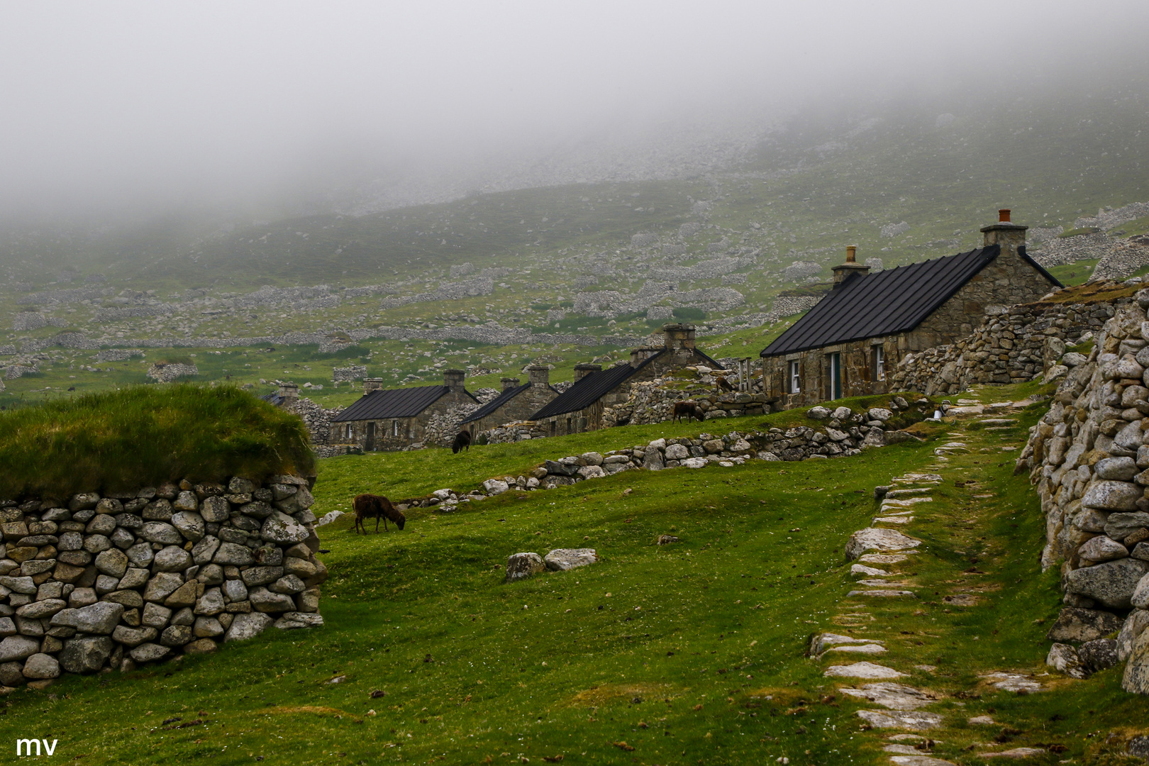 Hirta Foto & Bild | Bilder auf fotocommunity