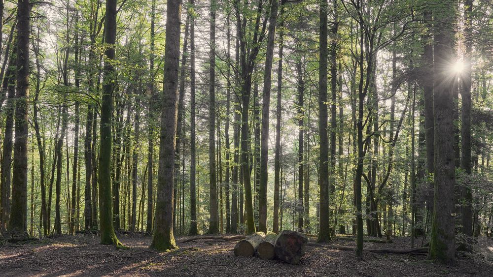 Hitze Foto & Bild | deutschland, europe, baden- württemberg Bilder auf ...