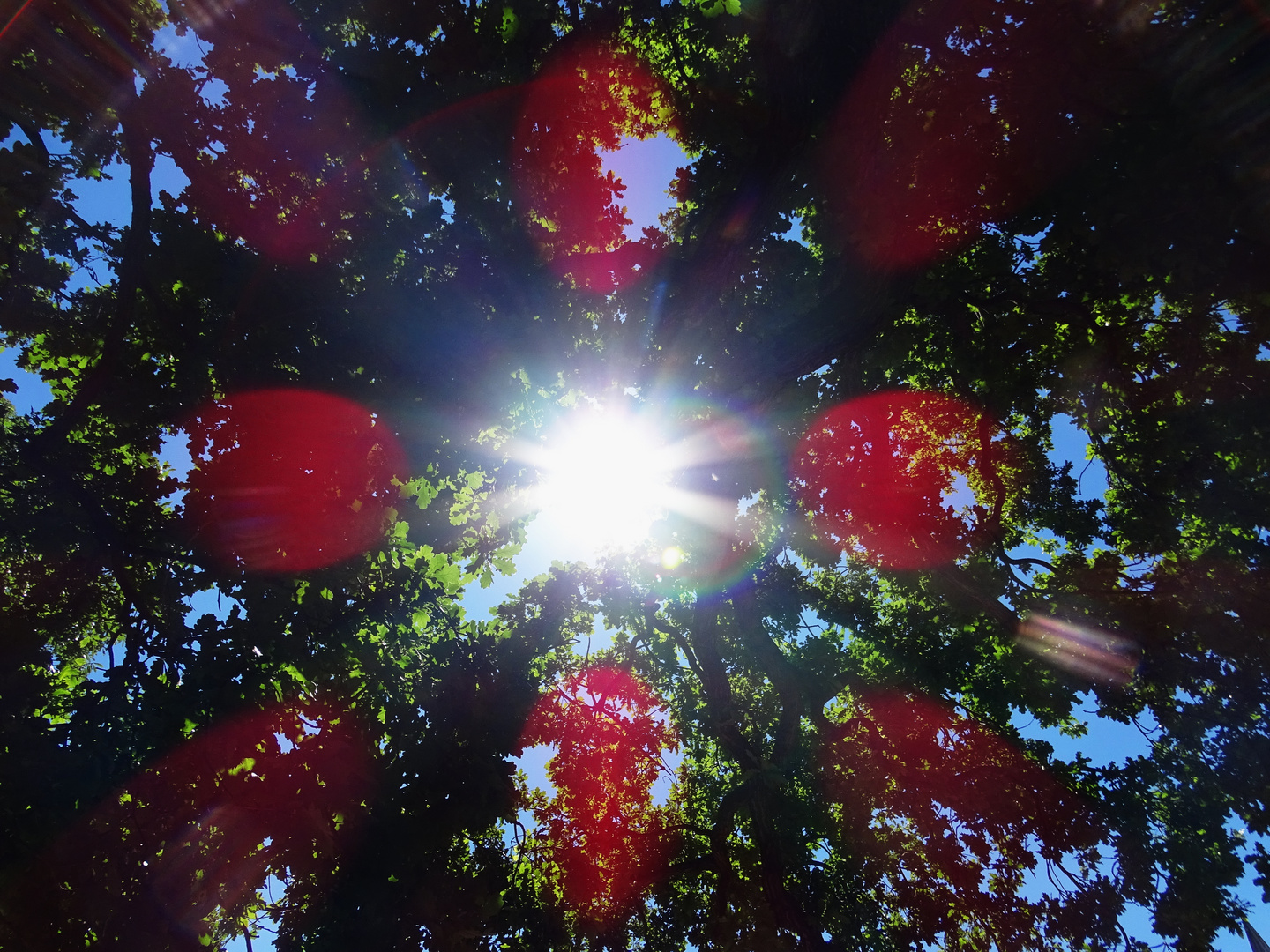 Hitze Foto & Bild | jahreszeiten, sommer, himmel Bilder auf fotocommunity