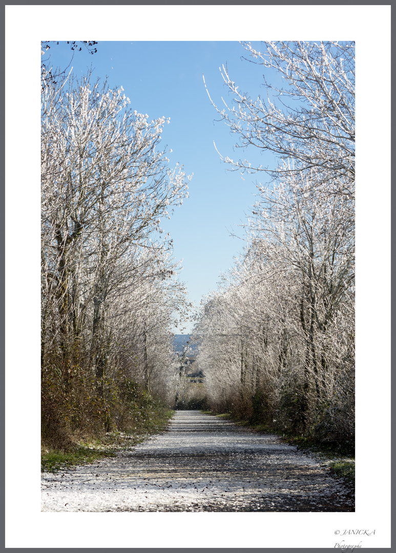 Hiver ou printemps??? photo et image | paysages, paysages de campagne ...