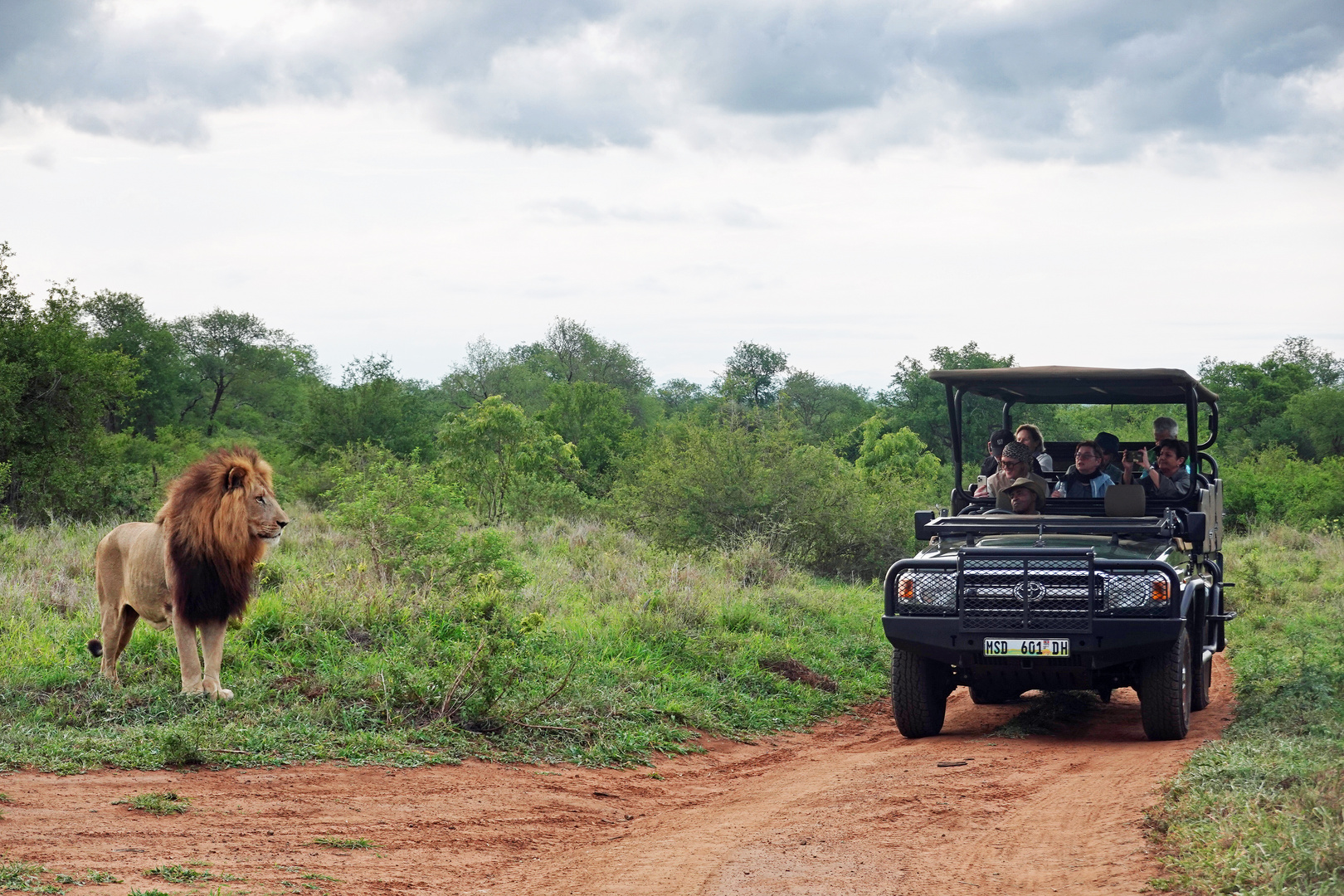 Hlane Royal National Park Foto & Bild | world, natur, afrika Bilder auf fotocommunity