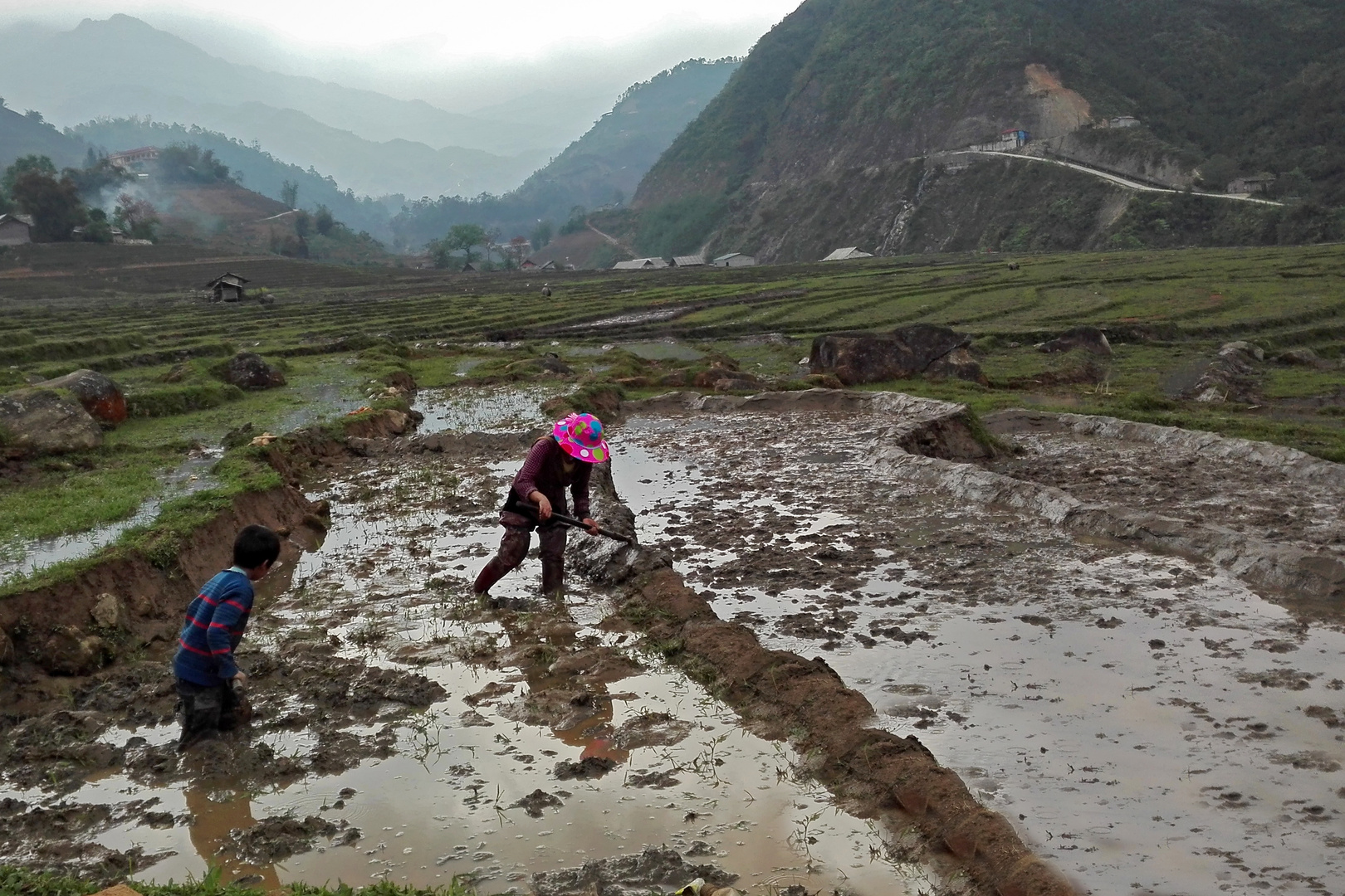 Hmong rice growers Imagen & Foto | asia, vietnam, southeast asia Fotos ...