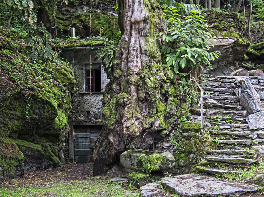 Hobbithaus mit Garage Foto & Bild | natur-kreativ, dies und jenes ...