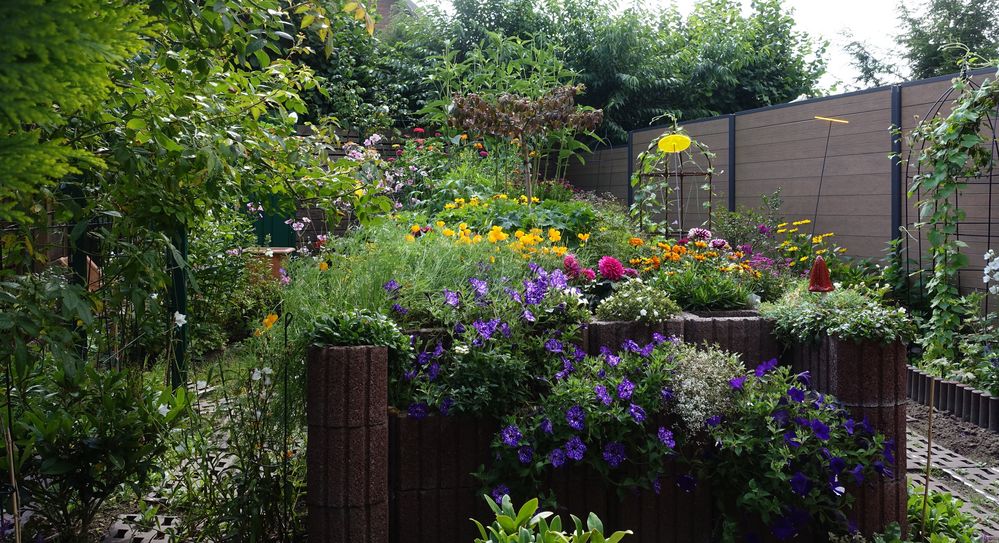 Hochbeet Foto & Bild | natur, pflanzen, garten Bilder auf fotocommunity