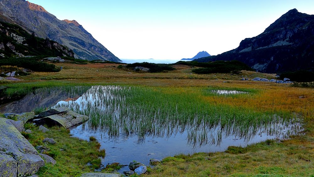Hochmoor Foto & Bild | landschaft, jahreszeiten, moor Bilder auf ...