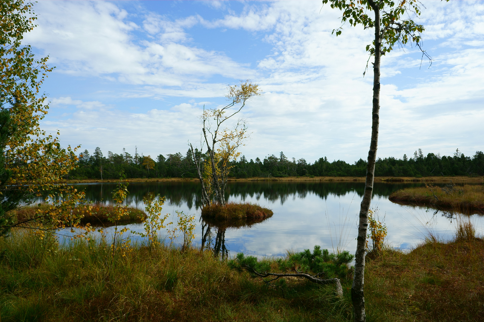 Hochmoor Foto & Bild | natur, landschaft, moor Bilder auf fotocommunity