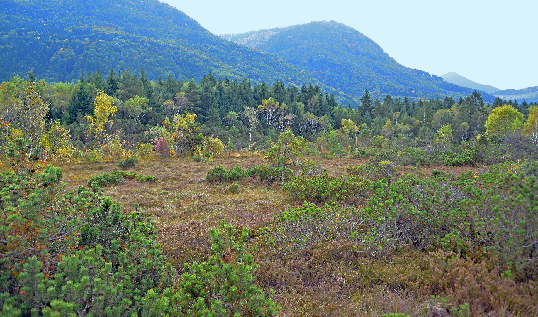 Hochmoor bei Grassau 20170928 Foto & Bild | landschaft, moor, chiemgau ...