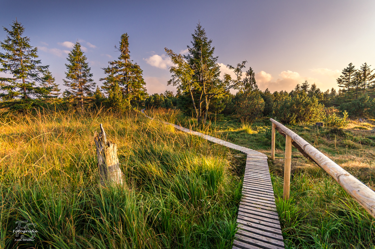 Hochmoor Foto & Bild | landschaft, moor, natur Bilder auf fotocommunity
