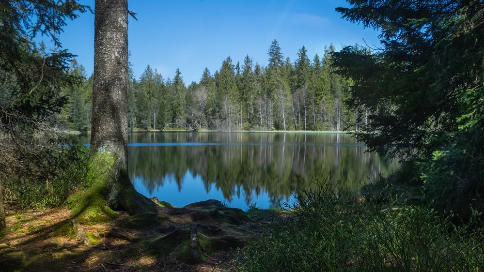 Hochmoor Foto & Bild | landschaft, moor, bach, fluss & see Bilder auf ...