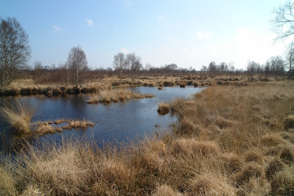 Hochmoor in Ostfriesland Foto & Bild | landschaft, moor, natur Bilder ...