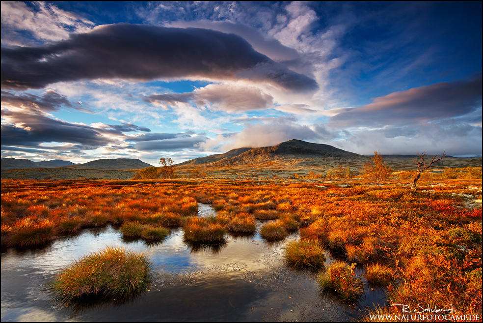 Hochmoor Norwegens Foto & Bild | landschaft, moor, rot Bilder auf ...