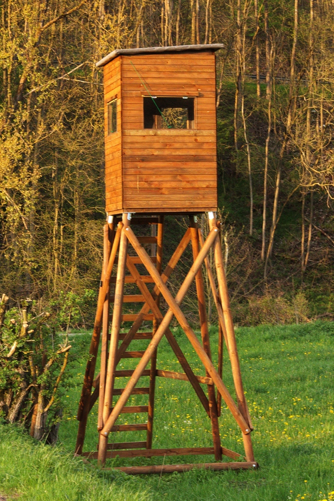 Hochsitz Foto & Bild | landschaft, wald, hochsitz Bilder auf fotocommunity