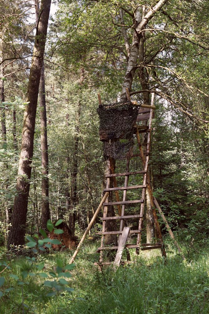 Hochsitz 15 - ganz speziell Foto & Bild | wald, bäume, natur Bilder auf ...