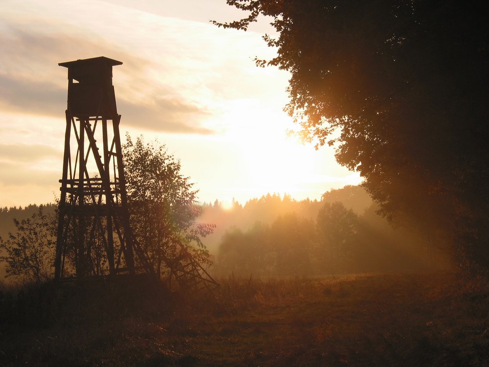 Hochsitz Foto & Bild | archiv projekte naturchannel, naturprojekte 2005 ...