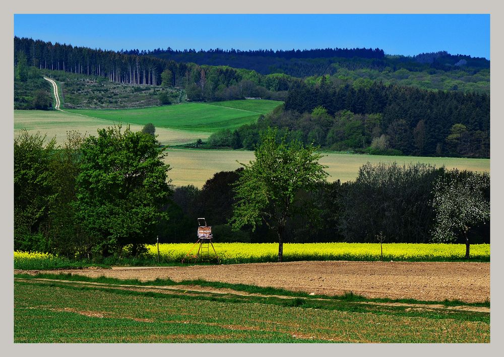 Hochsitz Foto & Bild | landschaft, kulturlandschaften, rhein-hunsrück ...