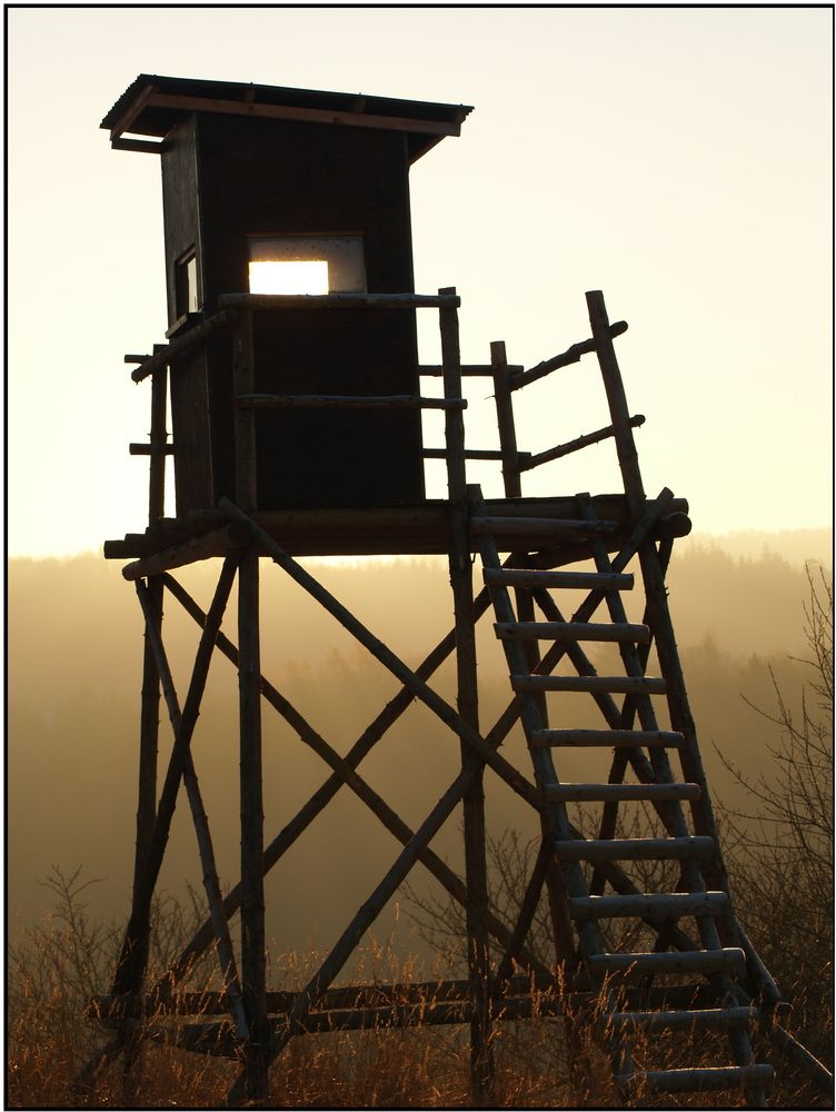 Hochsitz Foto & Bild | landschaft, Äcker, felder & wiesen, natur Bilder ...