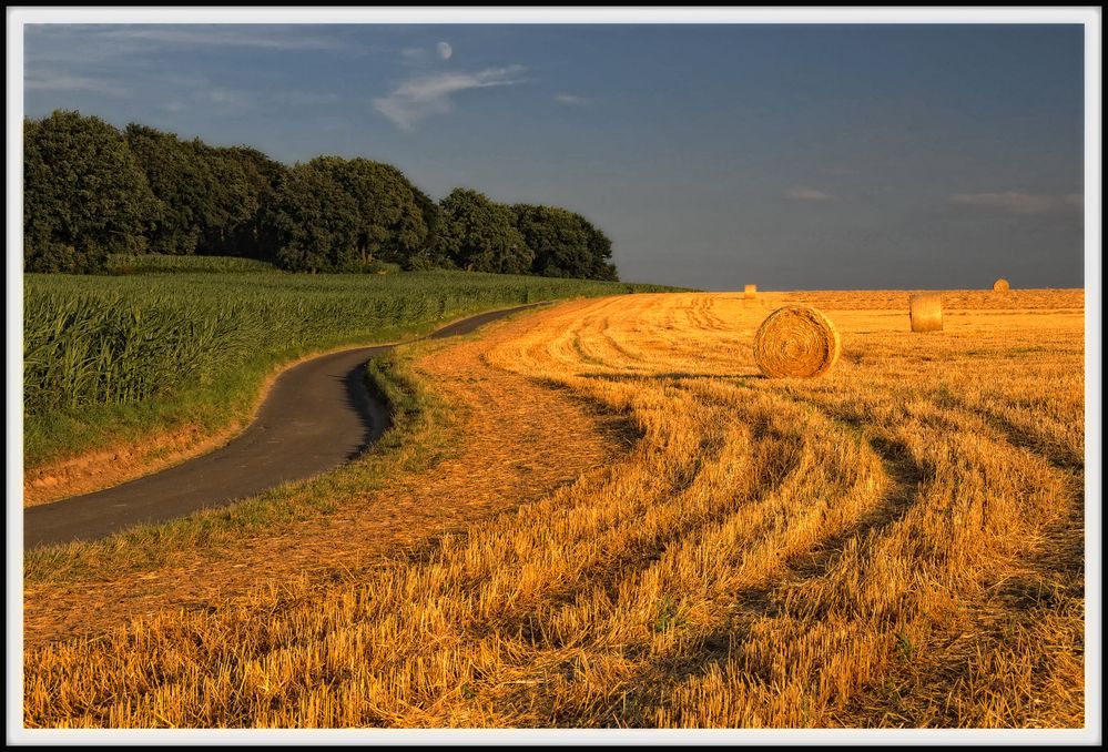 Hochsommer Foto & Bild | landschaft, Äcker, felder & wiesen, natur Bilder auf fotocommunity