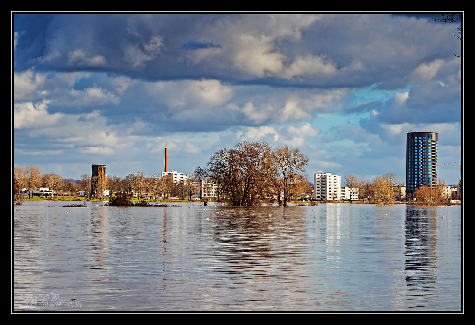 Hochwasser am Rhein #1 Foto & Bild | architektur, deutschland, europe ...