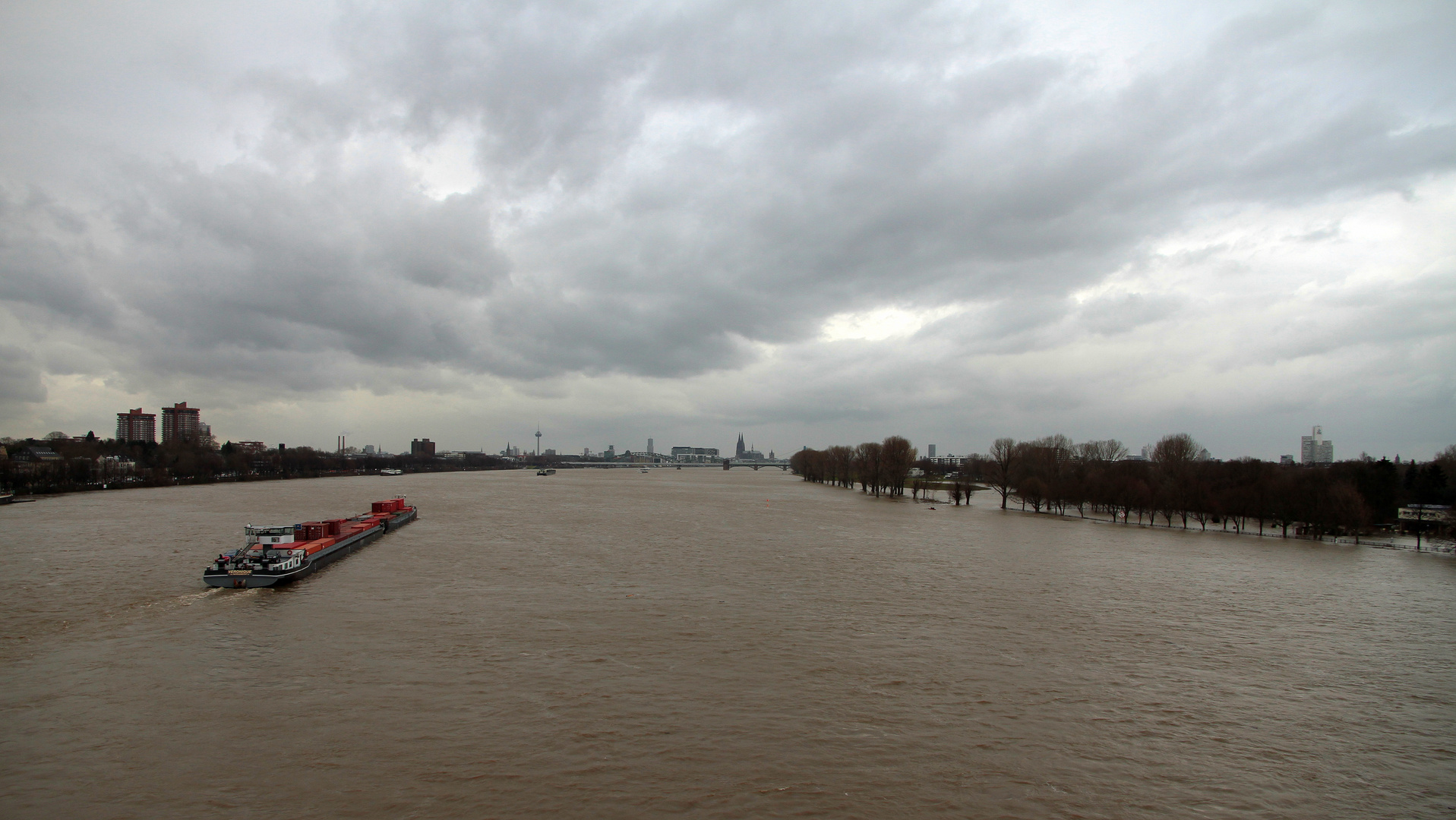 Hochwasser am Rhein Foto & Bild | landschaft, bach, fluss & see, flüsse ...
