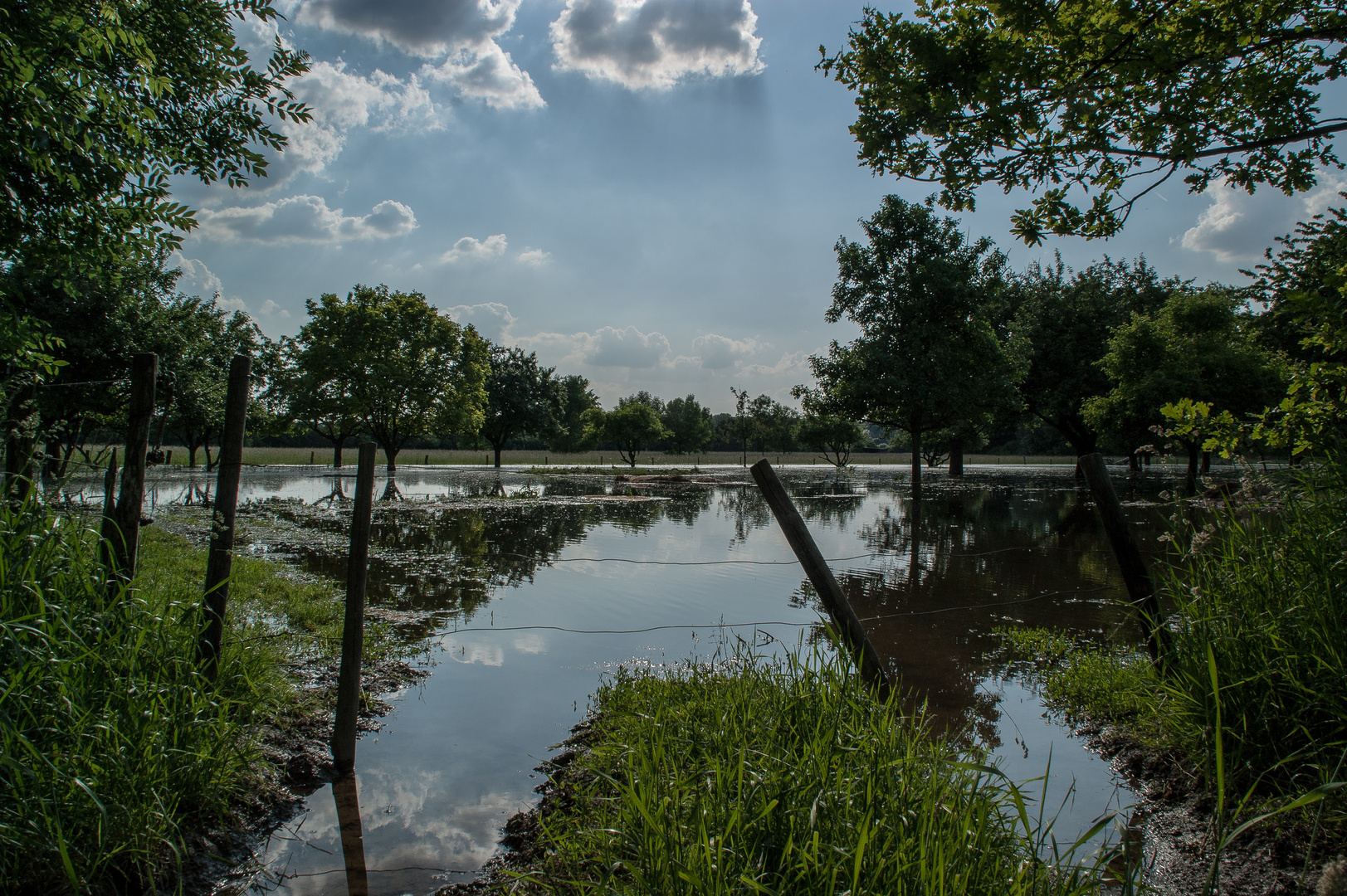 Hochwasser am Rhein Foto & Bild | naturereignisse, die elemente, natur ...