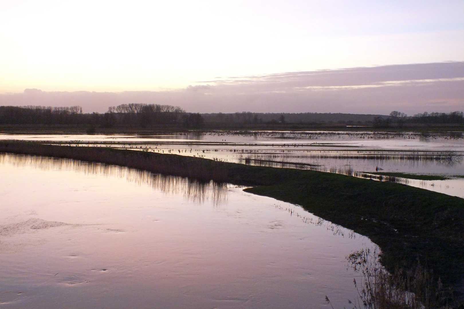 Hochwasser der Stör im Januar 2012 Foto & Bild | landschaft, bach ...