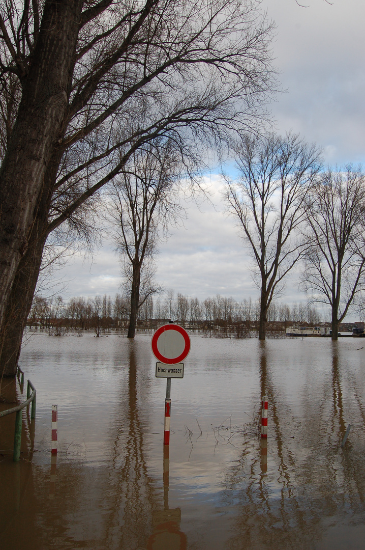 Hochwasser Foto & Bild | naturereignisse, die elemente, natur Bilder ...